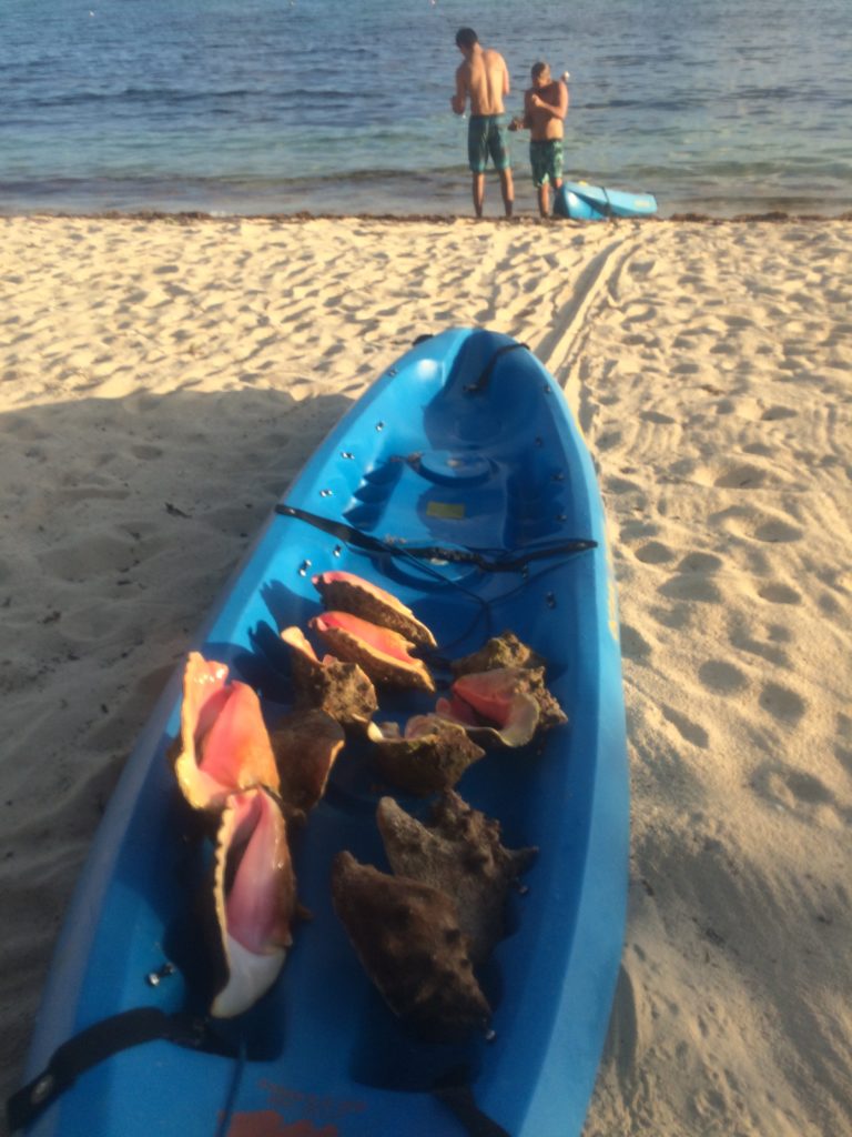 My first Caribbean Silly Season.. | footstepping..