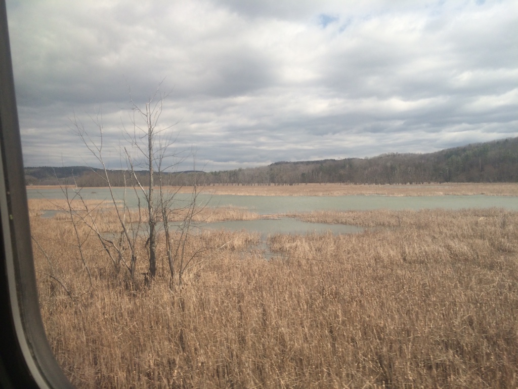 A cold Easter in the snow.. | footstepping..